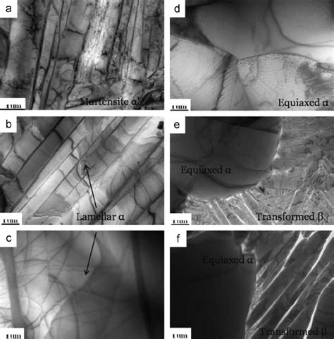 Transmission Electron Micrographs Of The Ti 6al 4v Plates A Download Scientific Diagram