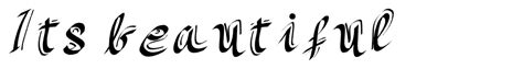 Its Beautiful Font Vectordad