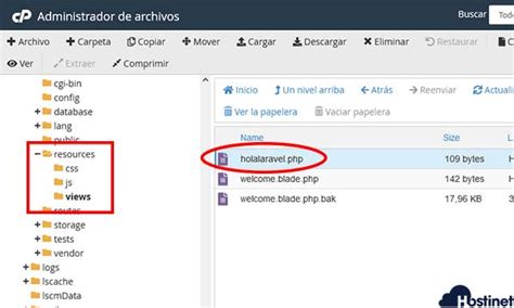 Cómo Instalar Laravel en cPanel y Ejemplo Práctico