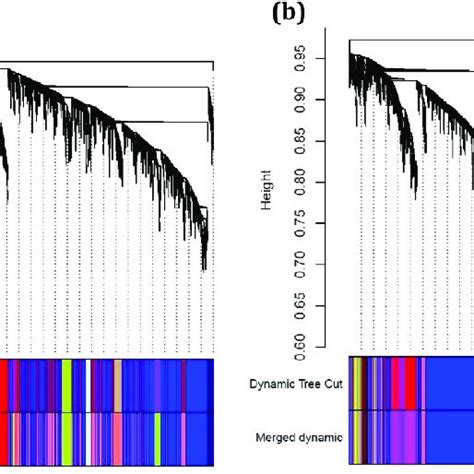 Dendrogram Of Clustered Genes For A Atll And B Hamtsp Based On A