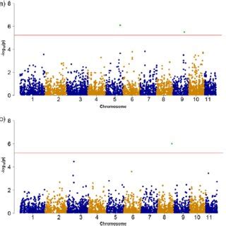 Manhattan Plot Of Single Nucleotide Polymorphism SNP Markers Download Scientific Diagram