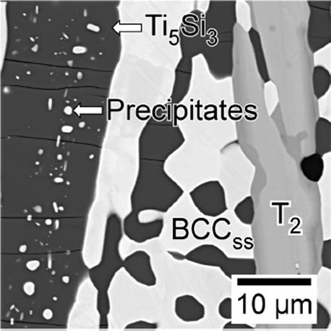 Microstructure Of Mo 50ti 14si 6c 6b At Alloy Annealed At 1500 °c Download Scientific