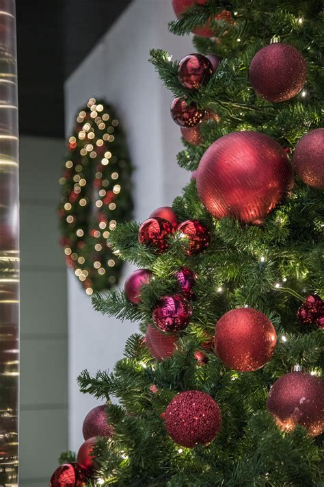 Ruby Reflection Award Winning NYC Landscape