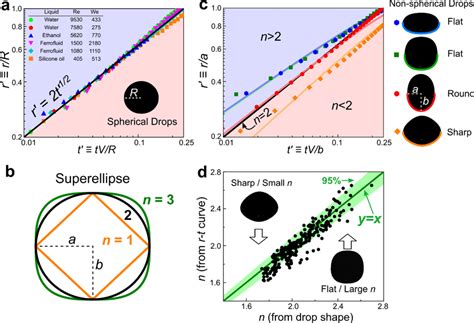The Spreading Dynamics Explained By A Superellipse Model A Download Scientific Diagram