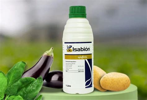 Liquid Syngenta Isabion Insecticide, 1 L, Biostimulant at ₹ 800/litre ...