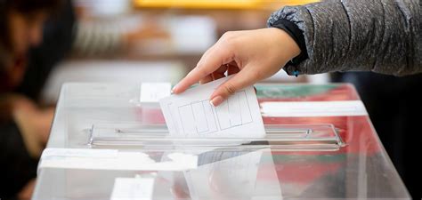 organiser ses élections du cse guide pratique et étapes clés webikeo