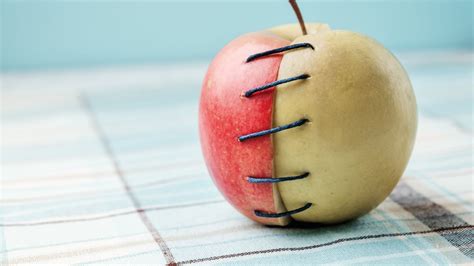 Ensemble Methods In Machine Learning Boosting And Bagging