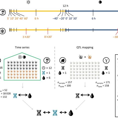 gene set promoter motif enrichment analysis results download