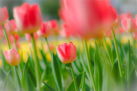 에어컨 제습기능만 활용하는 방법 효율적인 실내 습도 조절을 위한 완벽 가이드