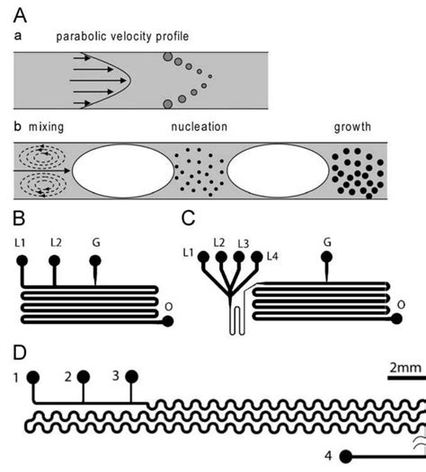 Segmented Gas Liquid Flow Microreactors A A Schematic