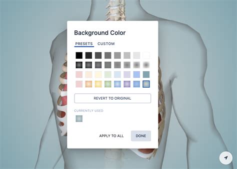 Change My Model S Background Color Human Support