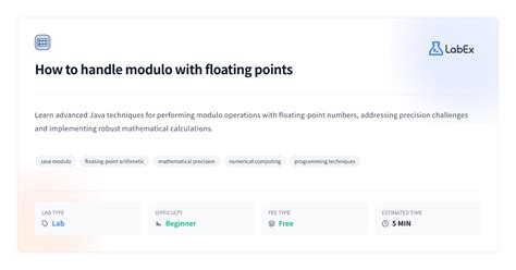 How To Handle Modulo With Floating Points Labex