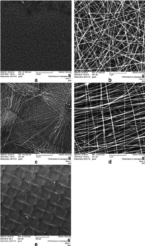 Scanning Electron Micrographs Of Randomly Oriented A And B And