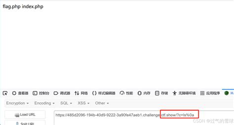 Ctfshow Web入门 命令执行（29 54关）ctfshow Web29 Csdn博客