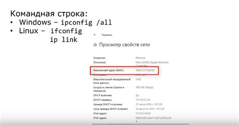 МАК Адрес Что Это Такое Типы Mac Адресов