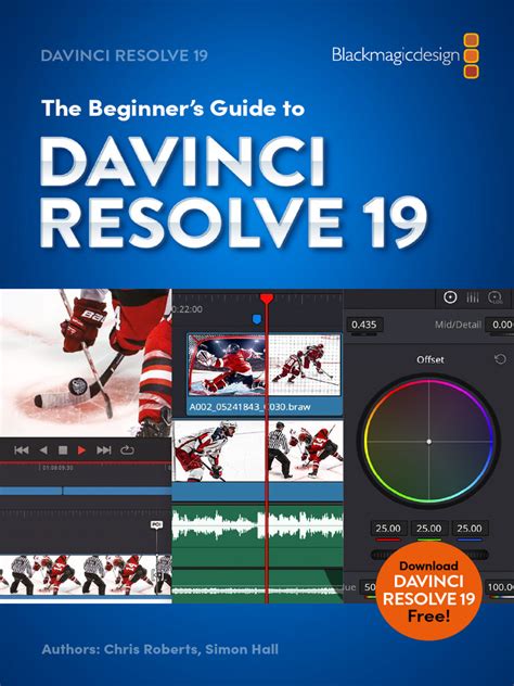 Davinci Resolve 19 Beginners Guide Pdf Computer File Computing