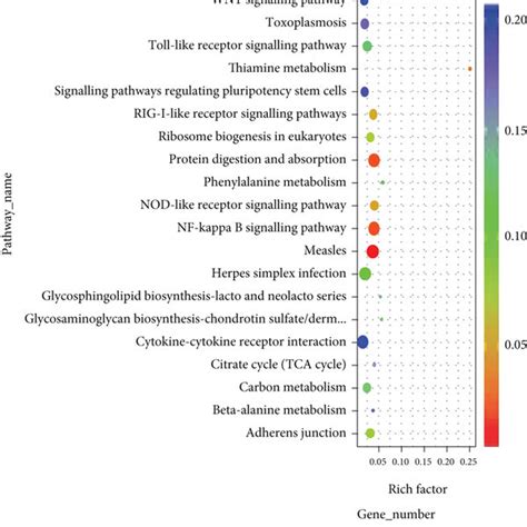 Microarray Analysis A Heatmap Of Sequencing Result Top 200 Genes