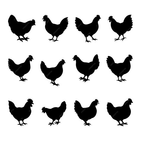 Premium Vector Set Of Hen Silhouette Chicken Silhouettes Set Of