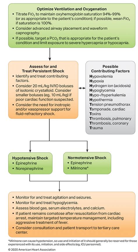 Rosc Pals Resuscitation