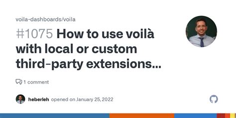 how to use voilà with local or custom third party extensions within