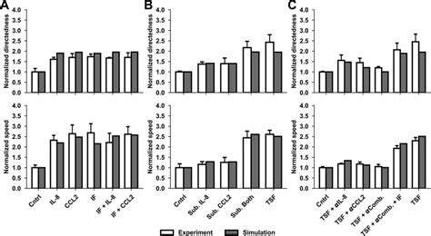 Comparison Between In Vitro Experimental Data White And Model Download Scientific Diagram