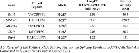 Snv Derived Peptides Selected For Cd8 T Cell Immunogenicity Assays