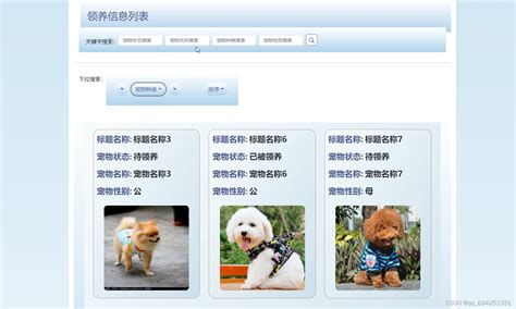 Springbootvue项目流浪狗领养管理系统的设计与实现社区宠物管理系统 Csdn博客