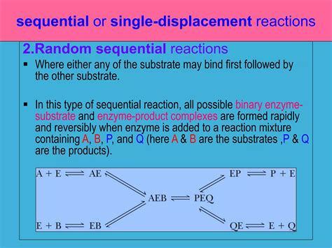 Bisubstrate Reactions Enzyme Kinetics Pptx