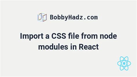 Import A Css File From Nodemodules In React Bobbyhadz
