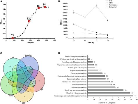 Frontiers Metabolic Profiles Of Carbohydrates In Streptococcus Thermophilus During Ph