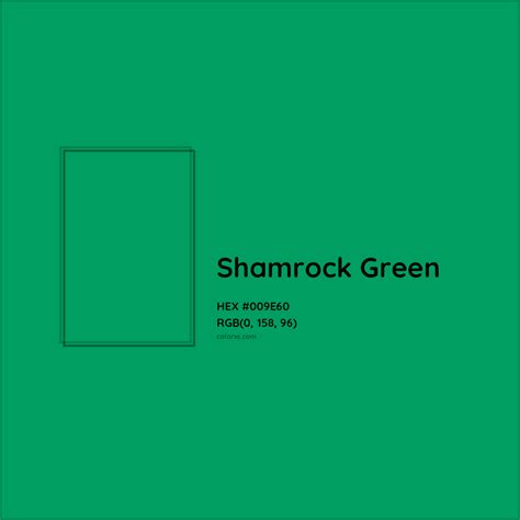 Shamrock Color Code Hex Rgb Cmyk Paint Palette Image Colorxs Hot Sex