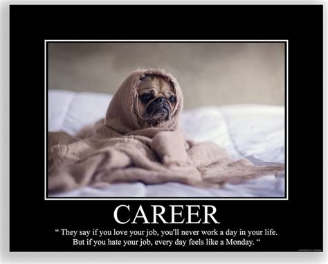 Funny Demotivational Pictures And Quotes