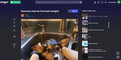 Sharing Posts S Vs And Images Imgur