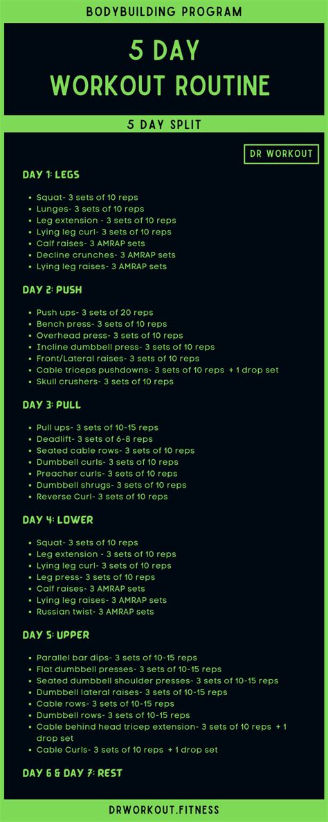 5 Day Workout Routine With Pdf Dr Workout