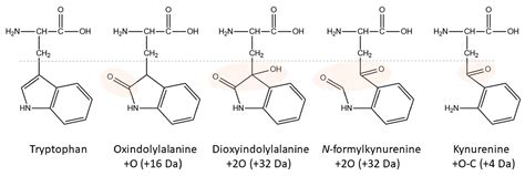Tryptophan And Proline Oxidation Products In Adipokinetic Hormones Encyclopedia Mdpi
