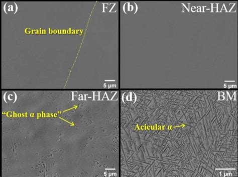 The Phase Diagram Of Titanium Alloys The Phase Diagram Of Titanium