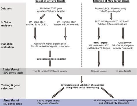 Lymphoma Classification Chart Ponasa