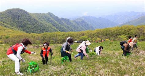 영양군 2024영양 산나물축제…부스 운영시간 연장 밤하늘 축제로