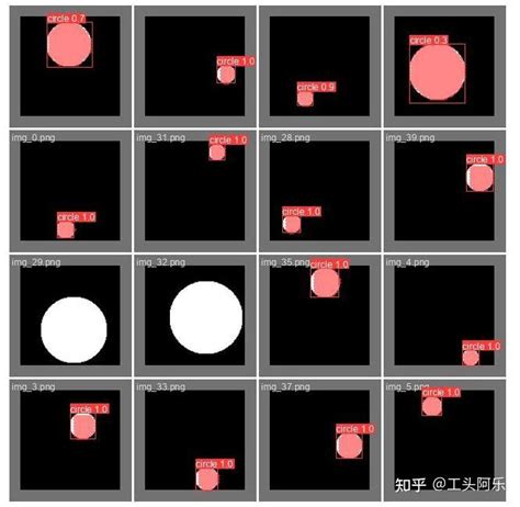 YOLOv 分割模型详解 知乎