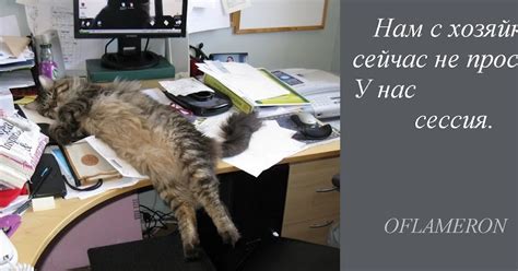 Rtishchevo Scientists Coin Class