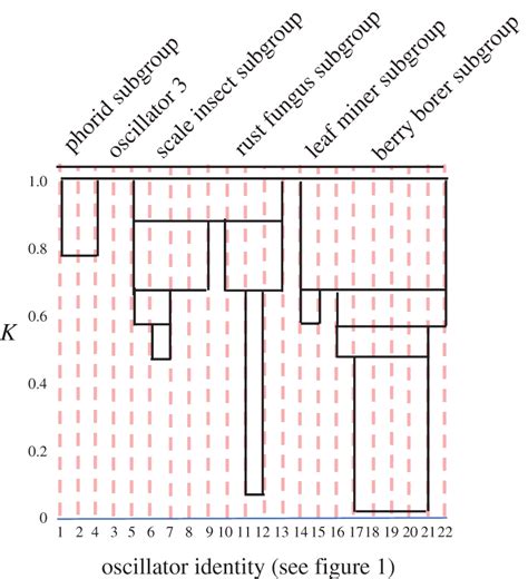 Development Of Synchrony Groups As A Function Of The Coupling