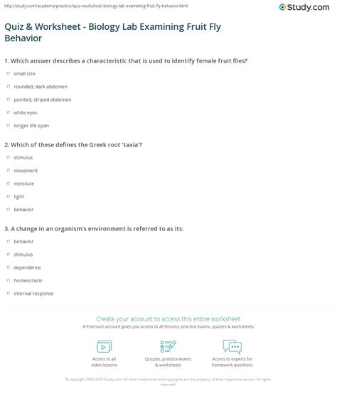 Quiz And Worksheet Biology Lab Examining Fruit Fly Behavior