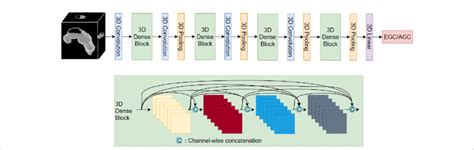 3d Densenet Network Structure Diagram Download Scientific Diagram