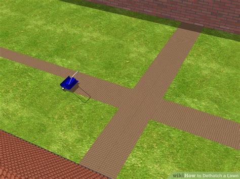 Best 13 How To Dethatch A Lawn 9 Steps With Pictures Artofit