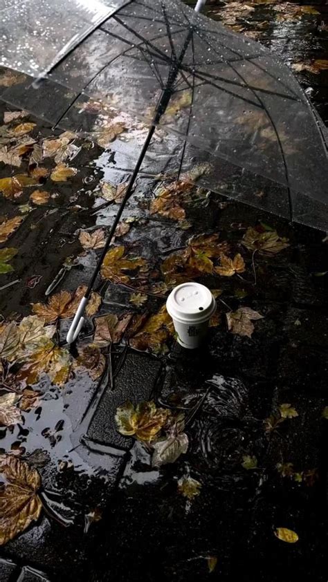 Осень 🍂🍁 Осенние картинки Фотография осенних листьев Фоновые рисунки