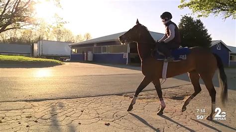 Forest Boyce 15 Years In The Saddle