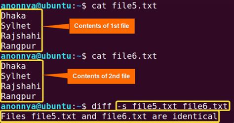 The Diff Command In Linux Practical Examples LinuxSimply