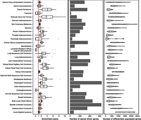 Differential Expression And Enrichment Analysis For Cancer Driver Genes