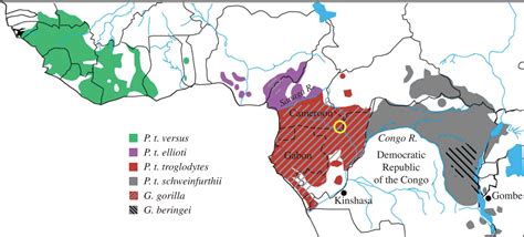 Про вирус иммунодефицита Hiv Plus