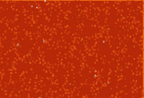 Light Orange Vector Layout With Circle Shapes 23332391 Vector Art At Vecteezy